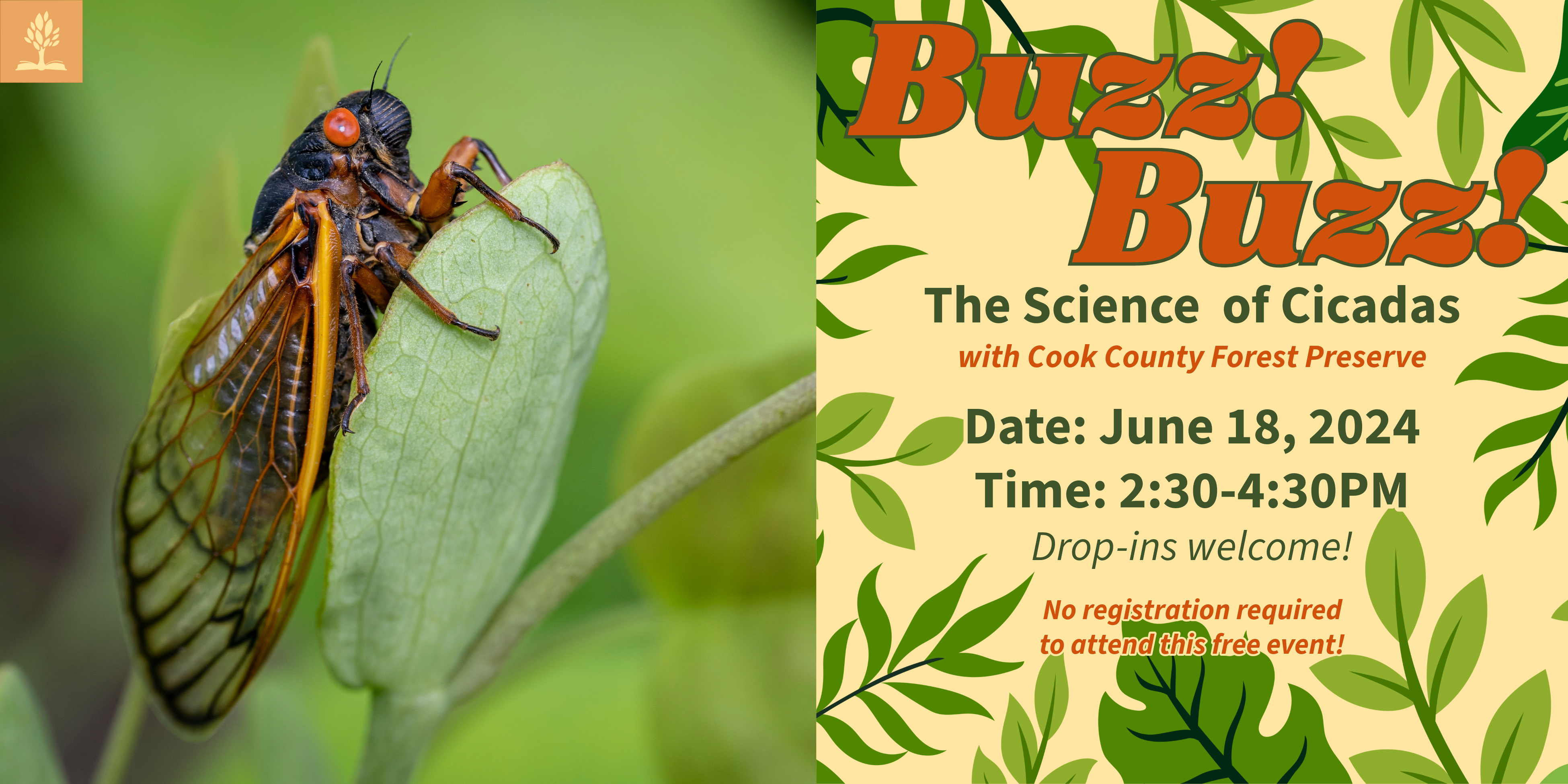 Buzz Buzz: the Science of Cicadas – Blue Island Public Library