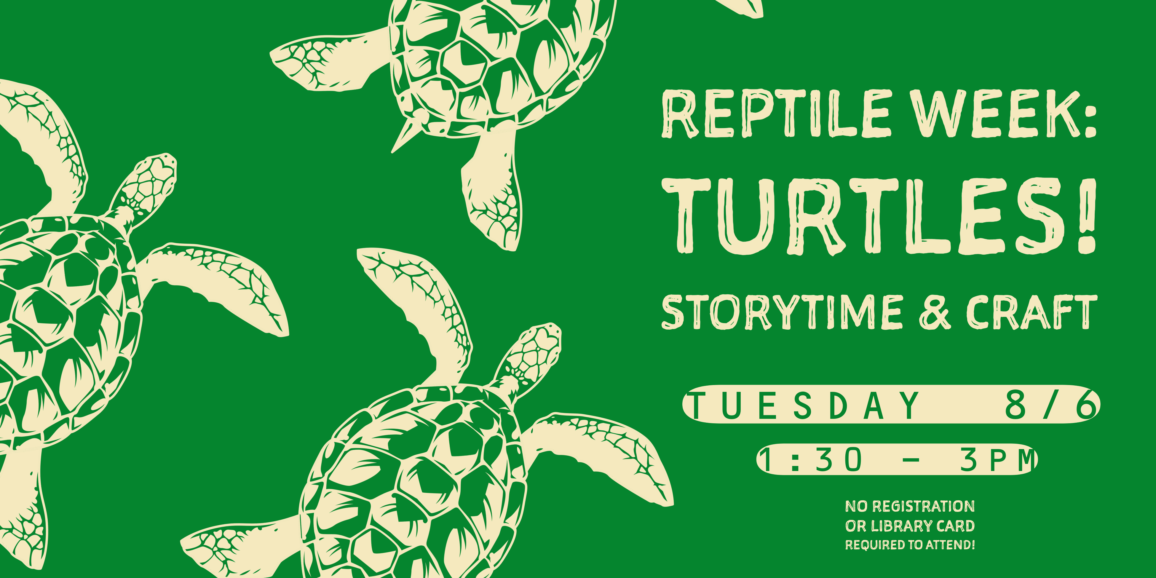 Reptile Week: Turtle Storytime & Activity – Blue Island Public Library